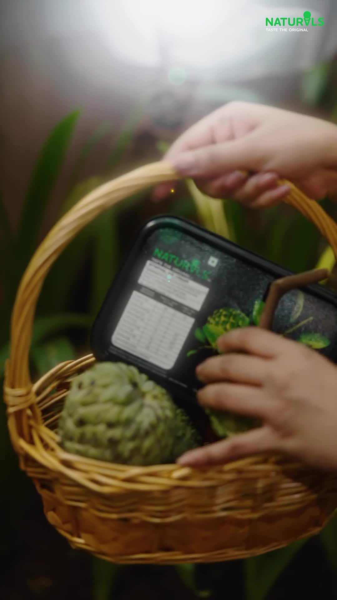 Natural Ice Cream Parlour (Phoenix Marketcity Mall) in Kamani-Kurla ...