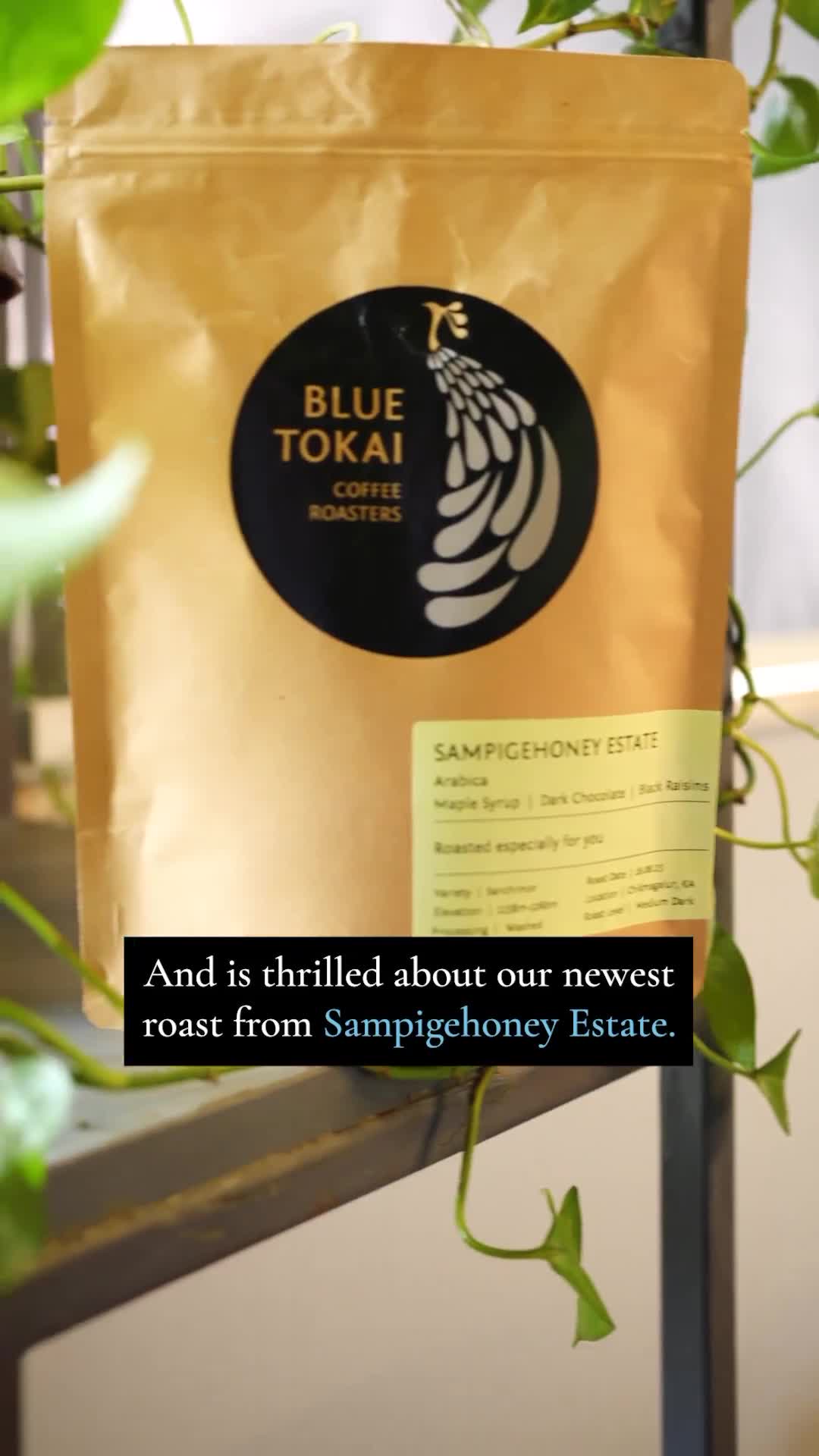 Blue Tokai Coffee Roasters in Rikab Ganj,Hyderabad - Order Food Online ...
