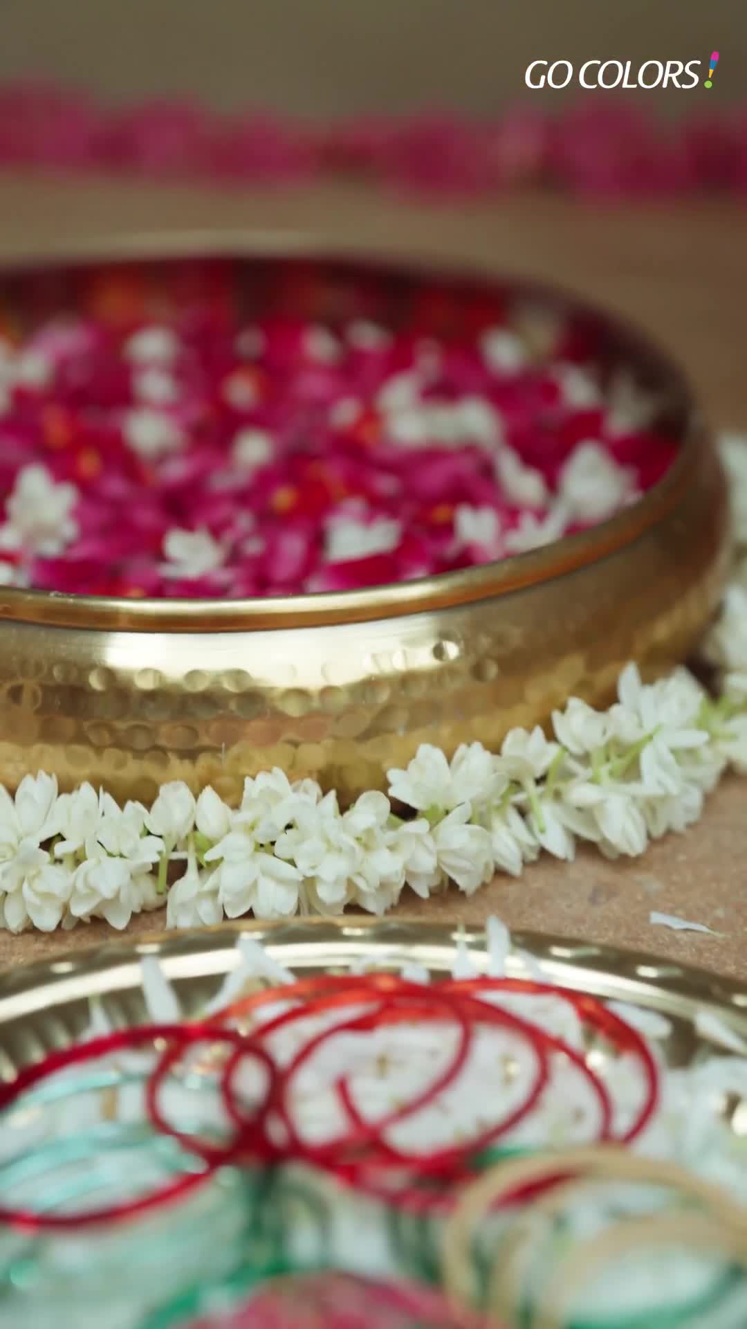 Go Colors Store in Reemapark Society,Ahmedabad - Readymade Garment ...