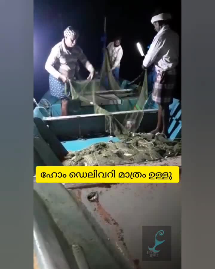 Fish World in Juhu,Mumbai - near me in Mumbai - Justdial