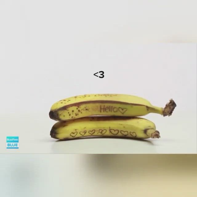 Delhi Darbar in Kalandri Gate,Karnal - North Indian Restaurants near me ...