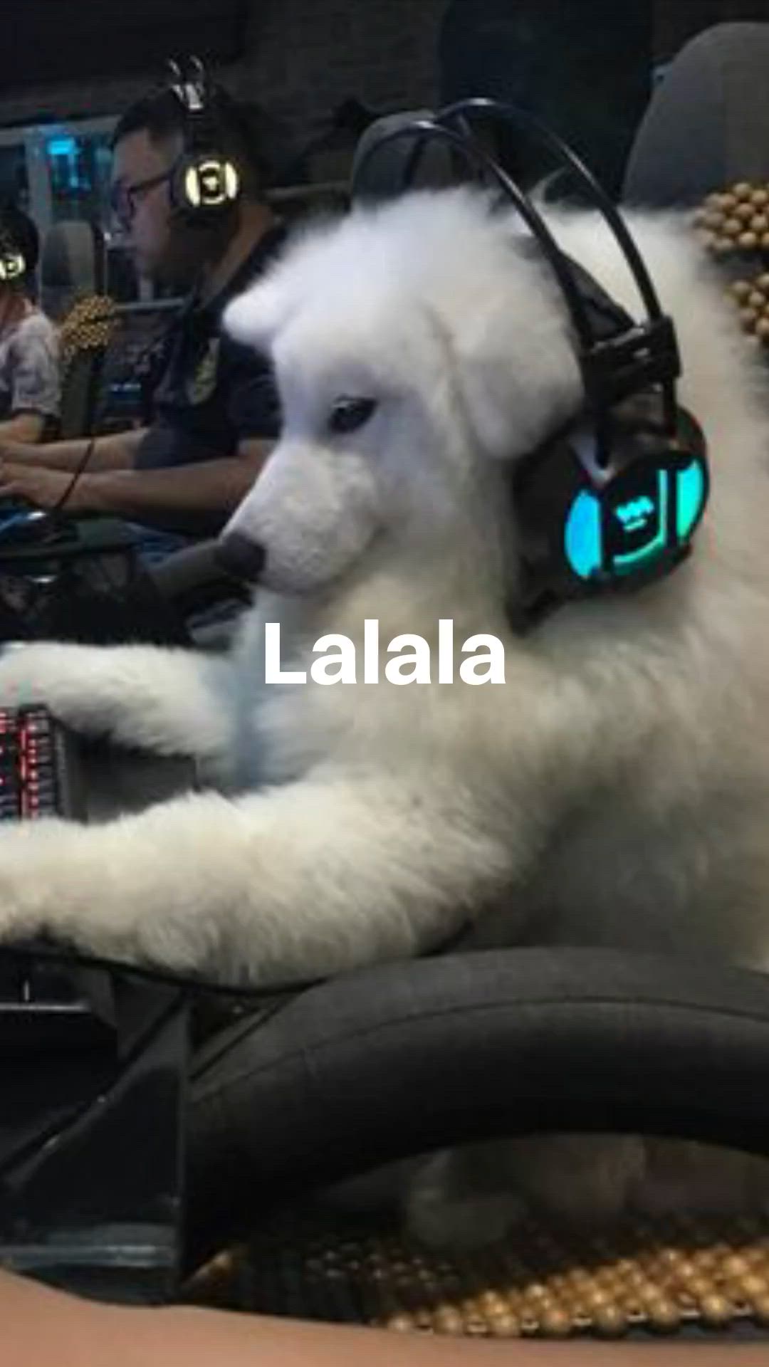 Croma Store, Drive, Road, Ahmedabad - Electronic Retail Store - Justdial