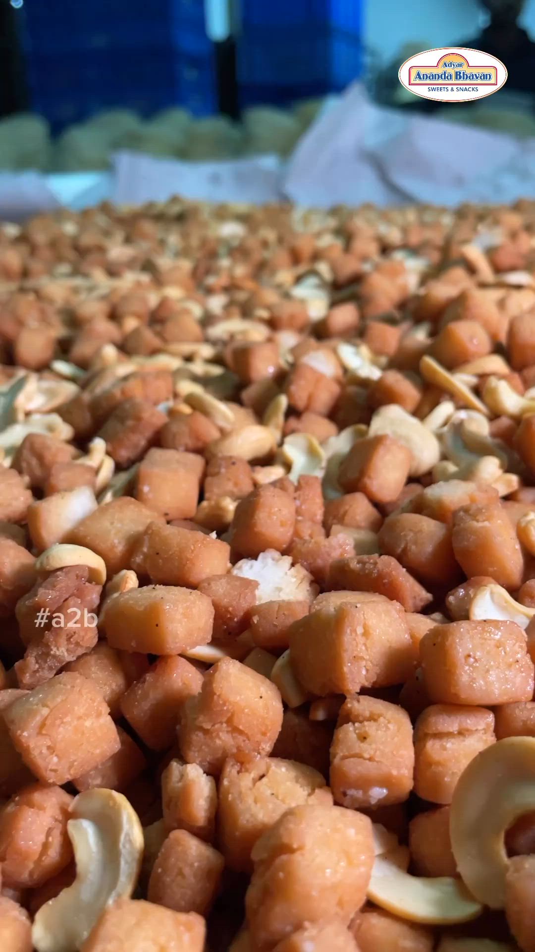 A2B Veg Restaurant in Anna Nagar,Chennai - Order Food Online - South ...