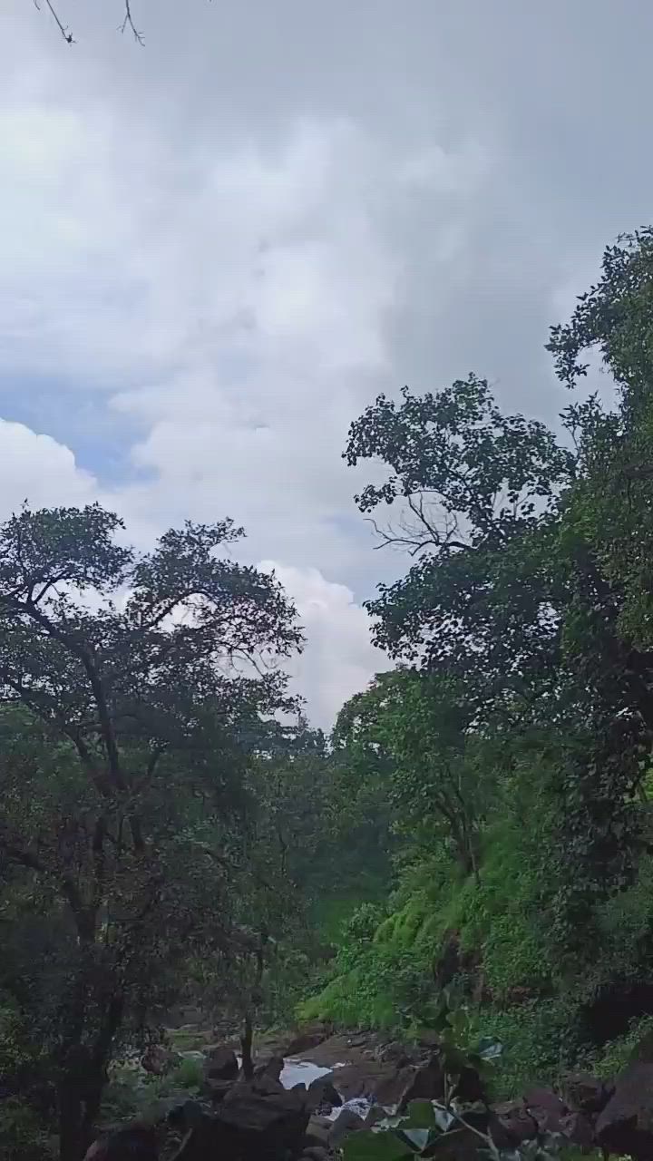 Videos from Umang Holiday Planner Pvt Ltd. in Nandanvan, Nagpur - Justdial