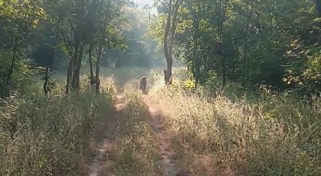 Videos from Umang Holiday Planner Pvt Ltd. in Nandanvan, Nagpur - Justdial