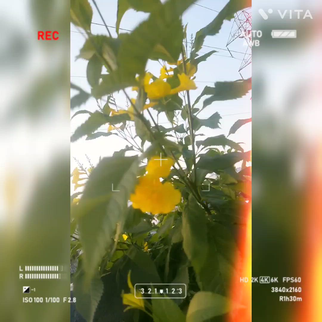 Book Krishna Villa Farm in Sandalpore,Navsari - Best Farm House On Rent ...
